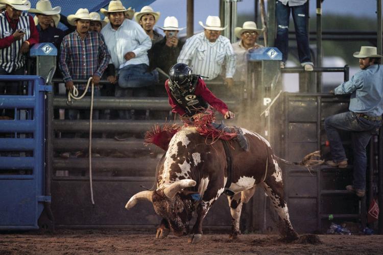 Locals hold their own at Arapaho Rodeo Tour | News | rivertonranger.com