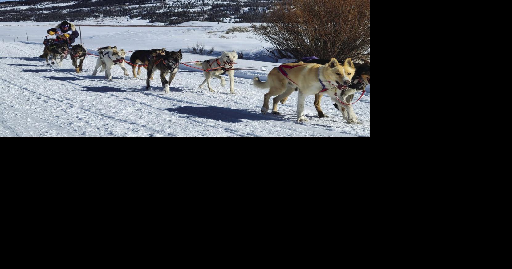 Stage Stop Sled Race to hit Lander slopes | News | rivertonranger.com