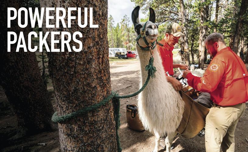 Powerful packers | News | rivertonranger.com