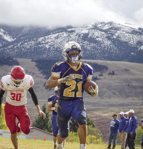 Coach Trembly, Rams ready to rally one last time | Sports ...