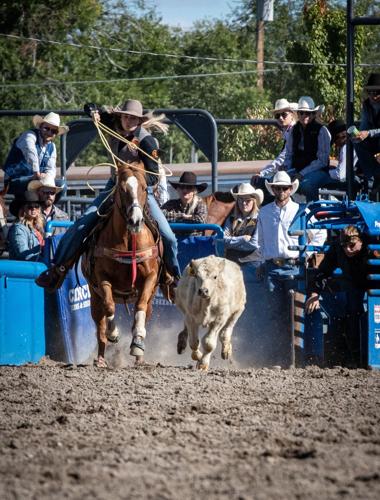 Rustler Rodeo ‘a whole different beast’ | News | rivertonranger.com
