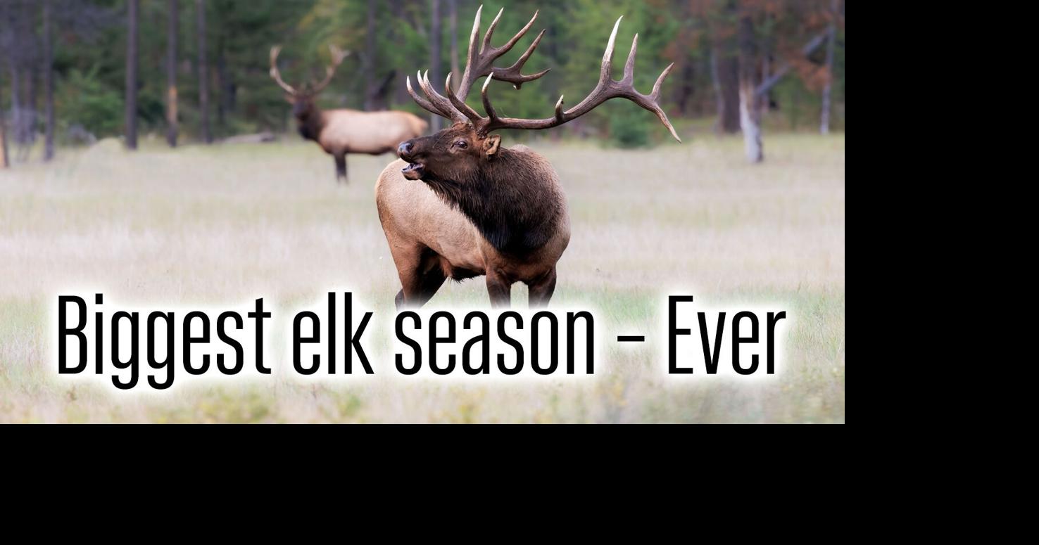 Biggest elk season – Ever | State News | rivertonranger.com