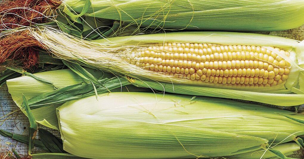 Being Corny in Riverton is Awesome! | News | rivertonranger.com