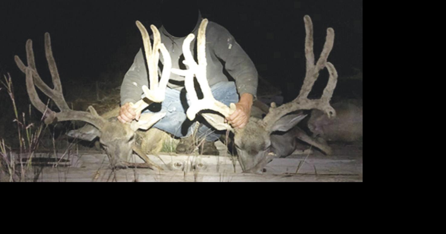 Plea agreement reached in poaching case | News | rivertonranger.com