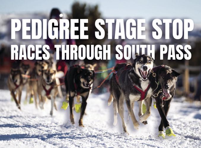 Pedigree Stage Stop races through South Pass | Lifestyle ...