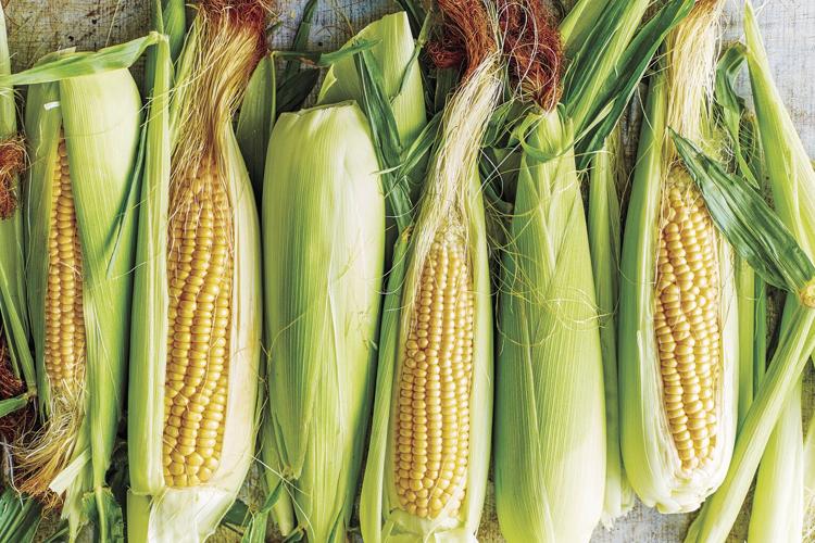 Being Corny in Riverton is Awesome! | News | rivertonranger.com