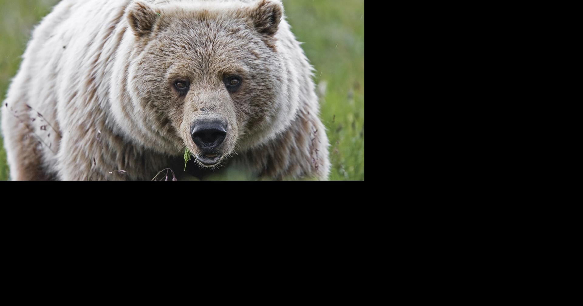WGFD: Heed the signs | News | rivertonranger.com