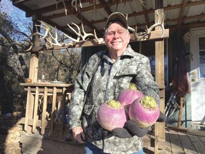 Outdoors with Luke: hunting for turnips | Local Sports ...