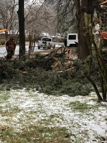 Photos from you: Readers share their cold weather photos | News ...