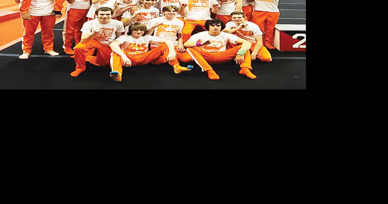 Yellowjackets, Lady Jackets take district gymnastics titles | Sports ...