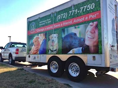 Pet adoption events in Rockwall this weekend | Local News ...