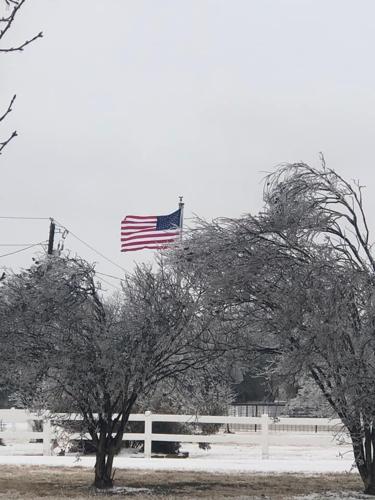 Photos from you: Readers share their cold weather photos | News ...