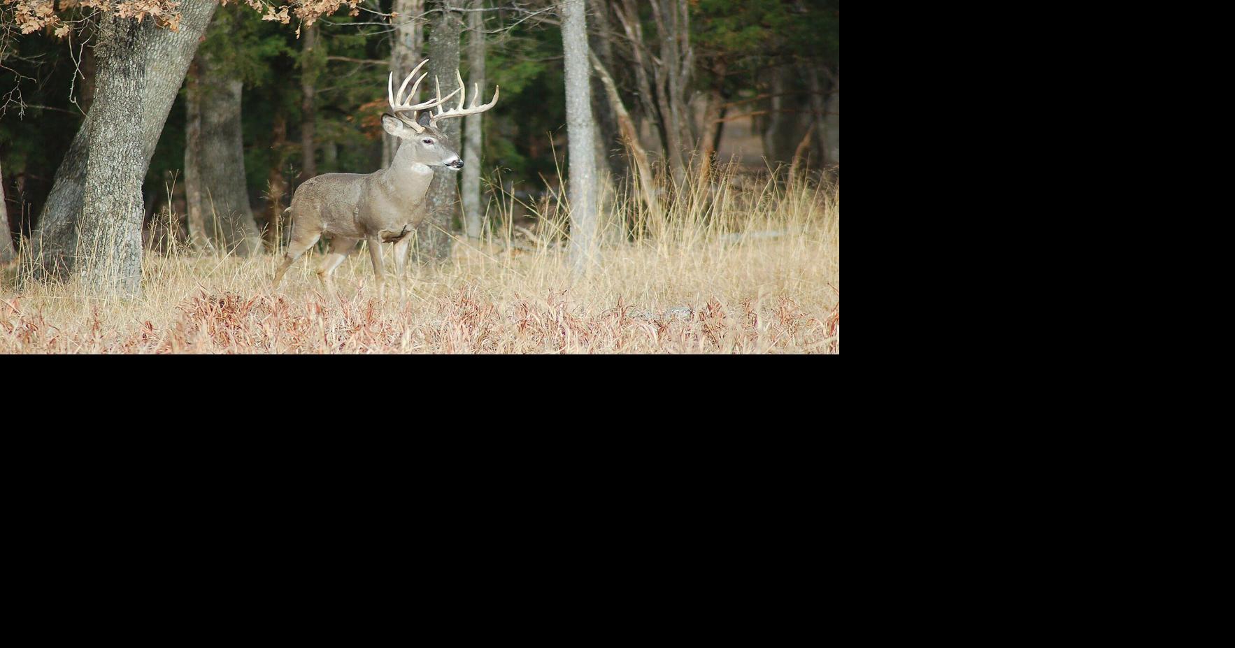 Outdoors with Luke: Then and now, tales of a deer hunt in 1960 | Local ...