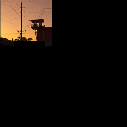 House committee talks Texas prison temperature standards | News ...