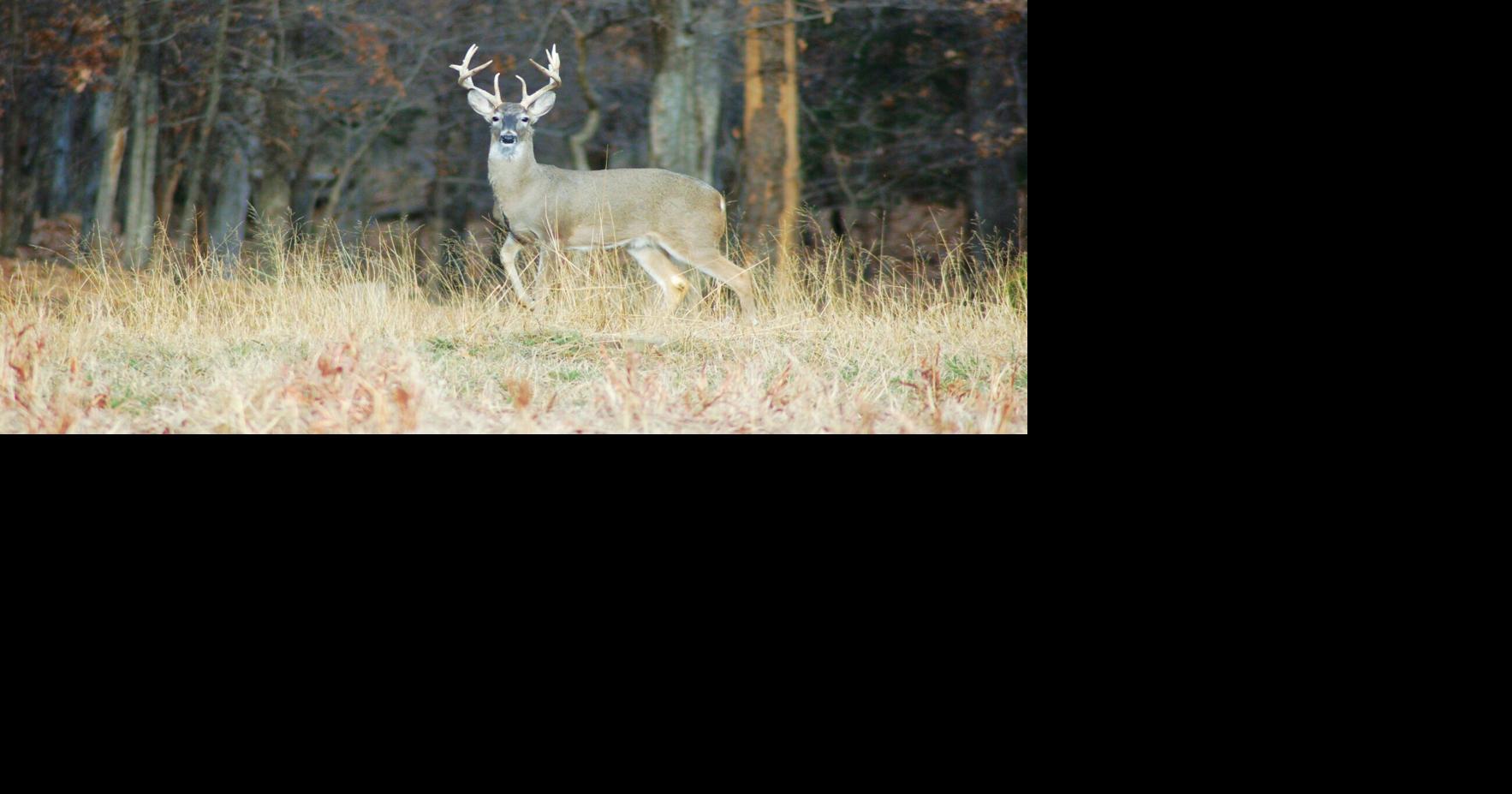 Outdoors with Luke: Texas is hot but it's still Luke's home | Sports ...