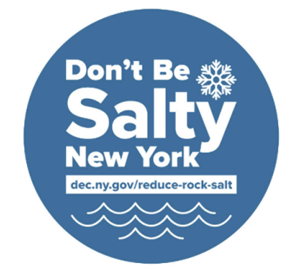 DEC outlines new 'Don't Be Salty, New York' rock salt campaign | News ...