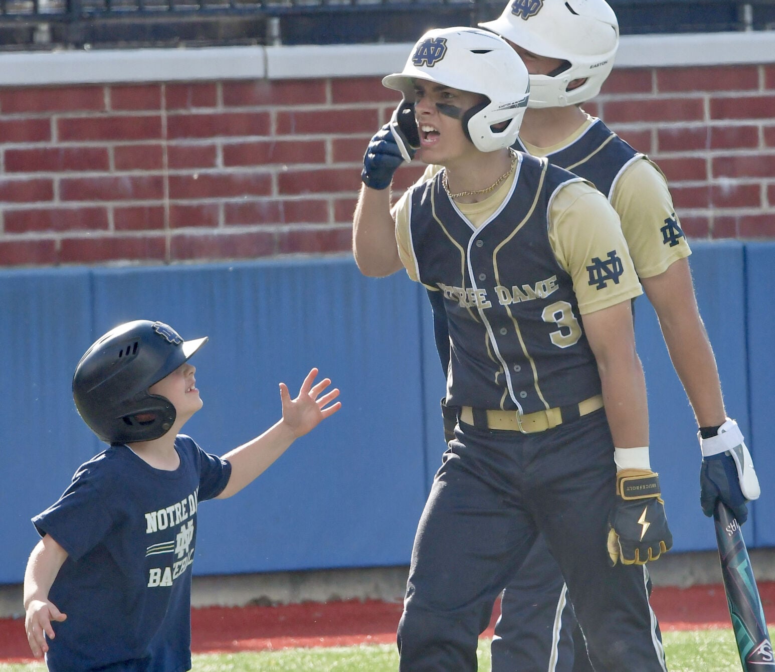 Utica Notre Dame baseball wins Class B sectional title | Sports ...