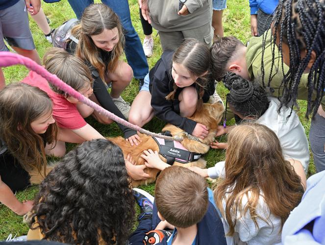 Farm Fest event in Marcy brings classrooms to the dairy farm | News ...