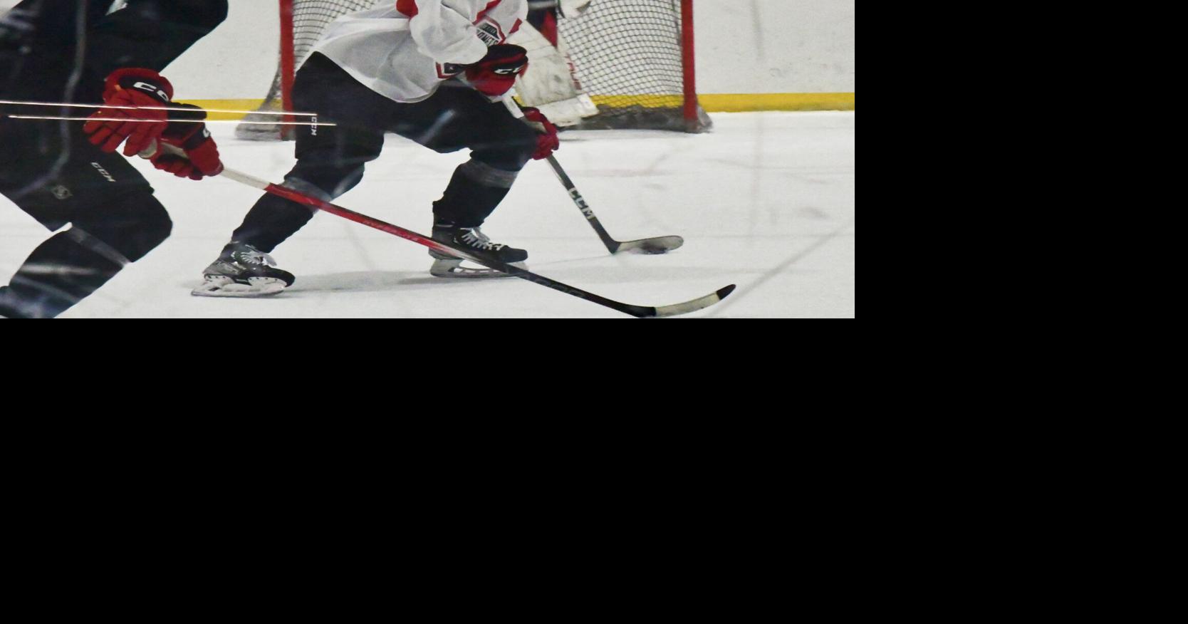 Max Willman, Utica Comets | | romesentinel.com