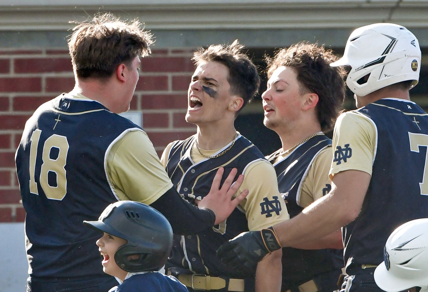 Utica Notre Dame baseball wins Class B sectional title | Sports ...