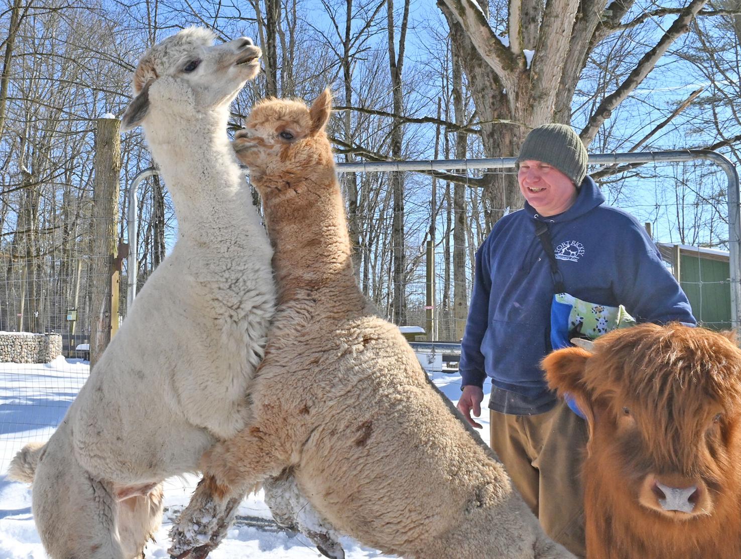See 51 photos of winter life at Fort Rickey Discovery Zoo in Rome | Multimedia | romesentinel.com