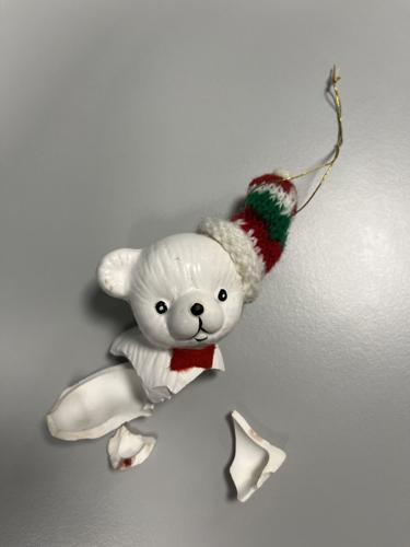 Dog rushed to vet after swallowing ceramic Christmas ornament | News ...