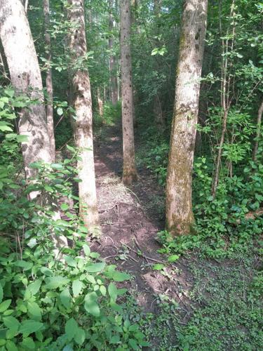 Two to four miles wide – Oneida Carrying Place was key | Culture ...