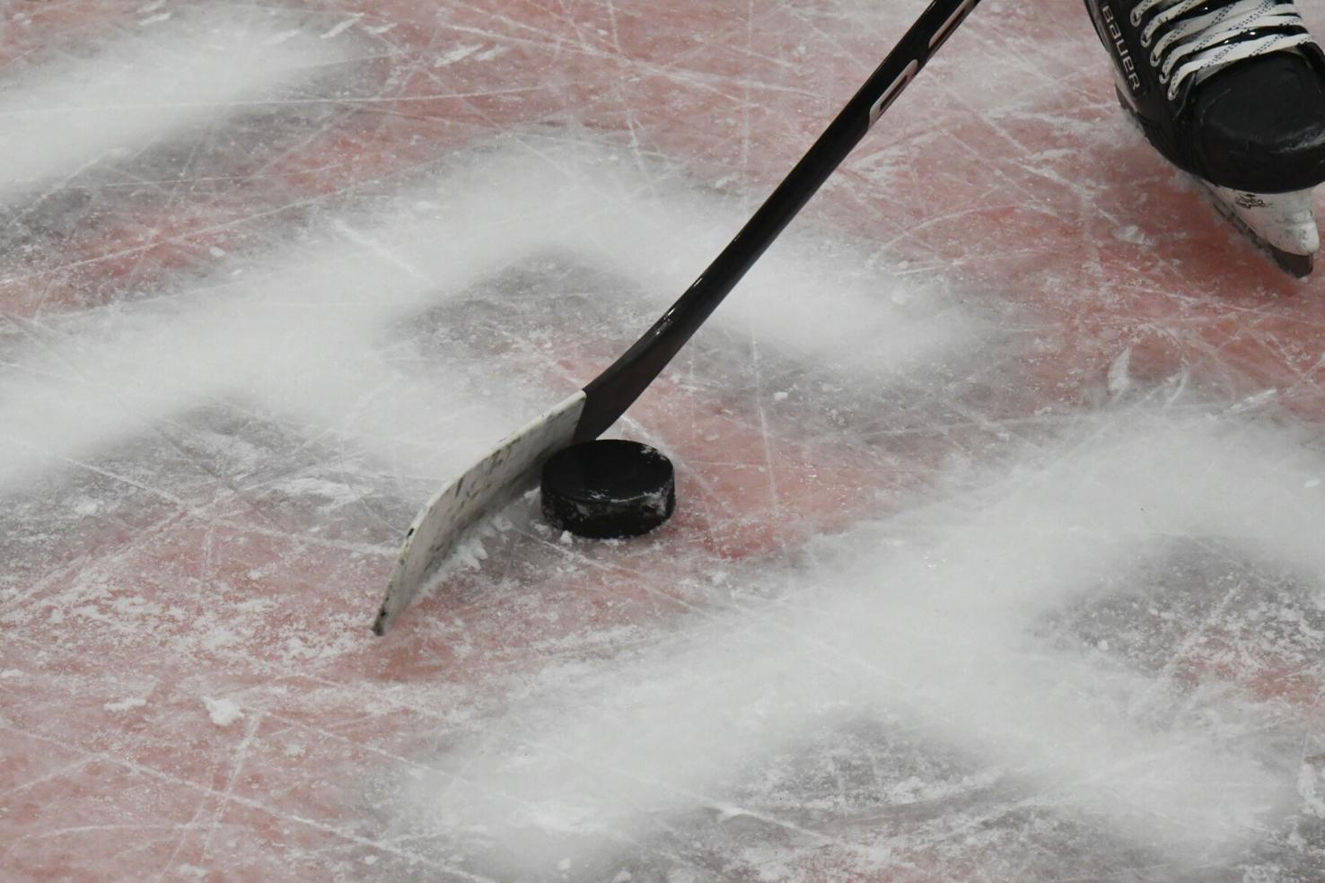 See where Hamilton, Utica are ranked in men's hockey poll | Sports ...