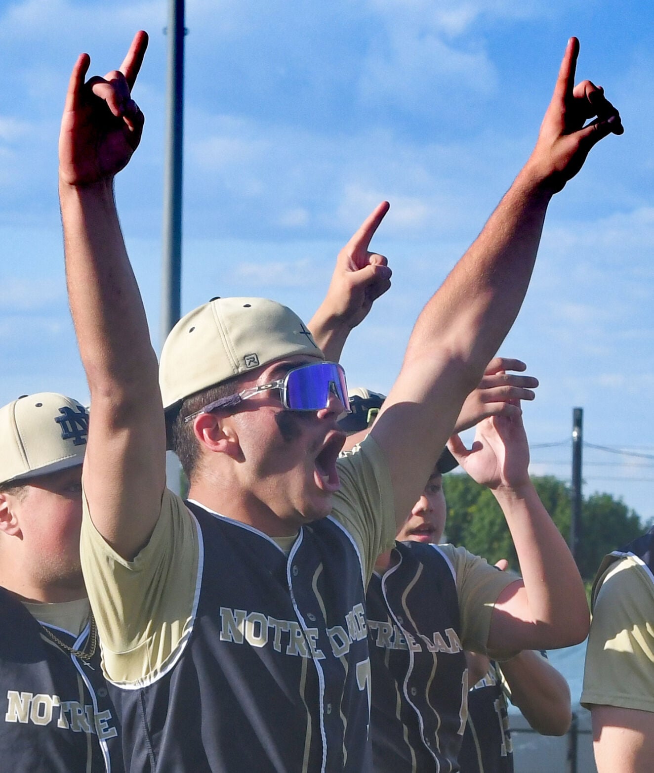 Utica Notre Dame baseball wins Class B sectional title | Sports ...