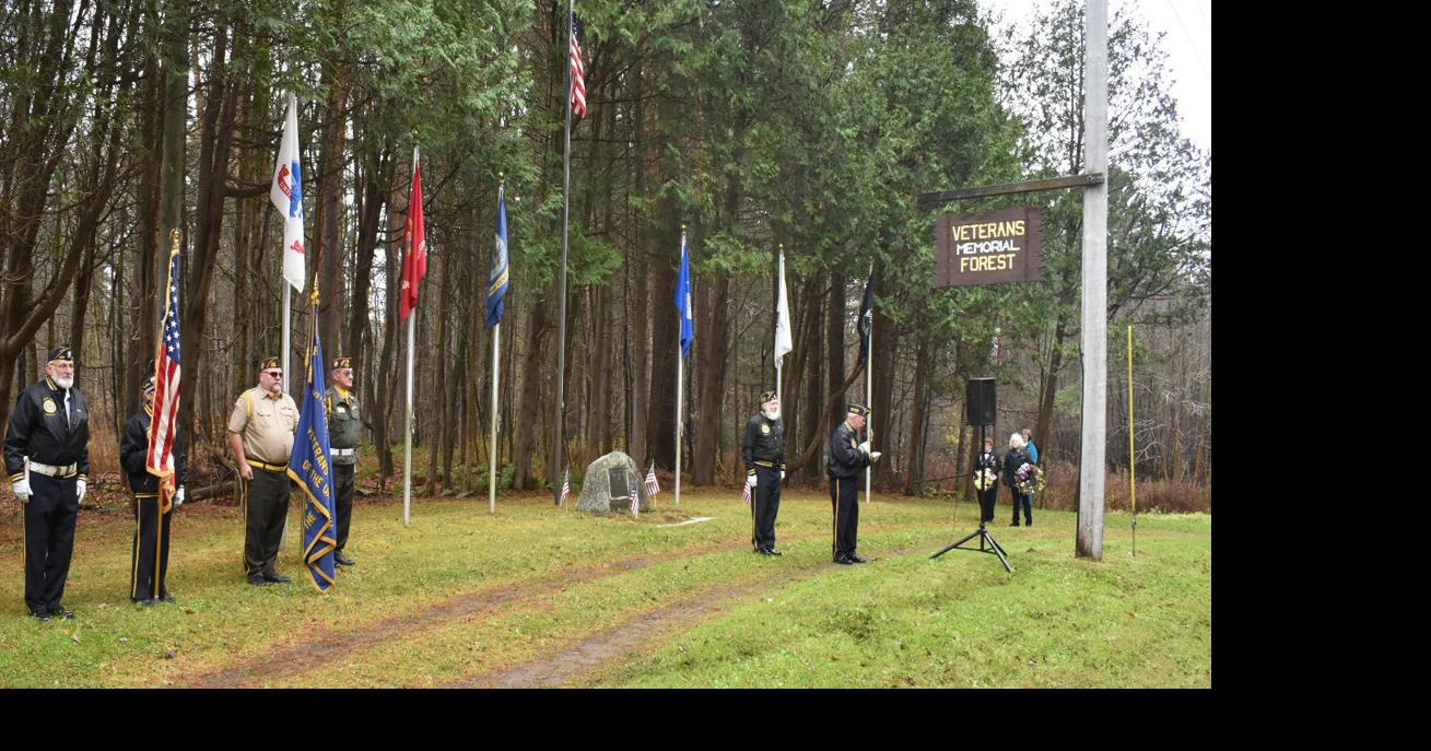 Veterans Day ceremony | | romesentinel.com
