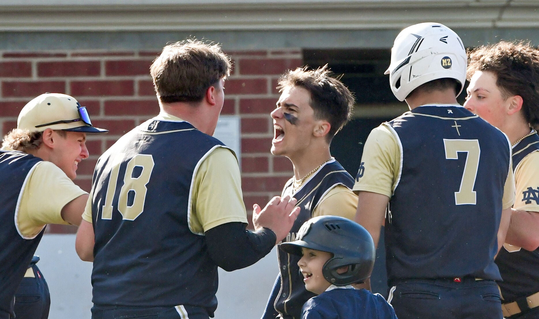 Utica Notre Dame baseball wins Class B sectional title | Sports ...