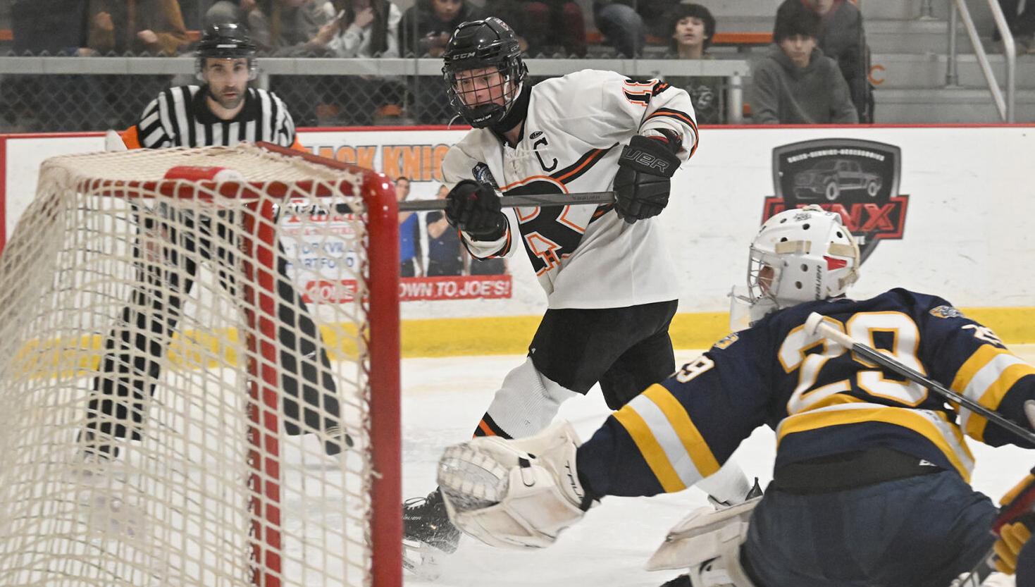 Section III Division I ice hockey playoff seeds, schedule | Sports ...