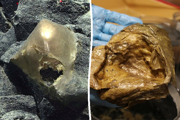 Mystery of ‘golden orb’ found at bottom of ocean finally solved | News ...
