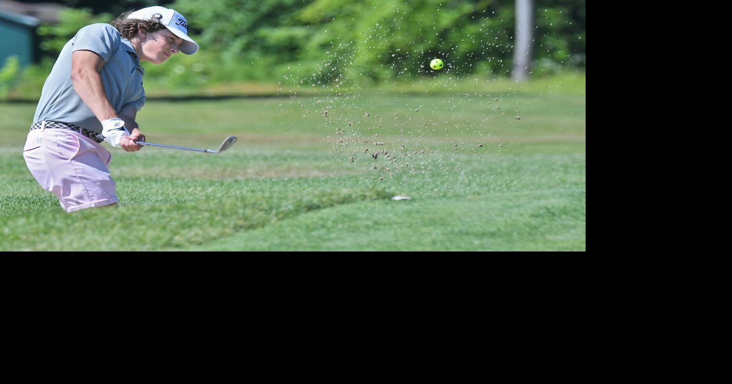 Mohawk Valley area golfers in field for 2023 state Junior Golf ...