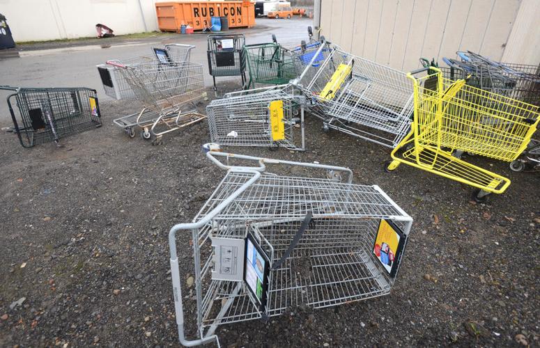 City corrals wayward ‘wild carts’ | Culture | romesentinel.com