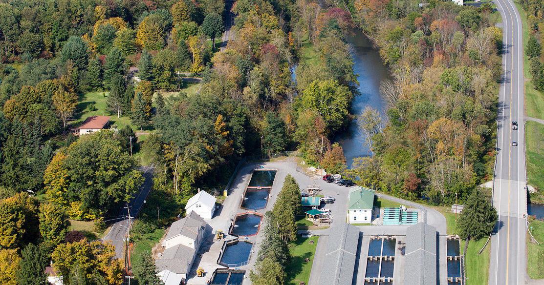 DEC to retrofit Rome Fish Hatchery | County news | romesentinel.com