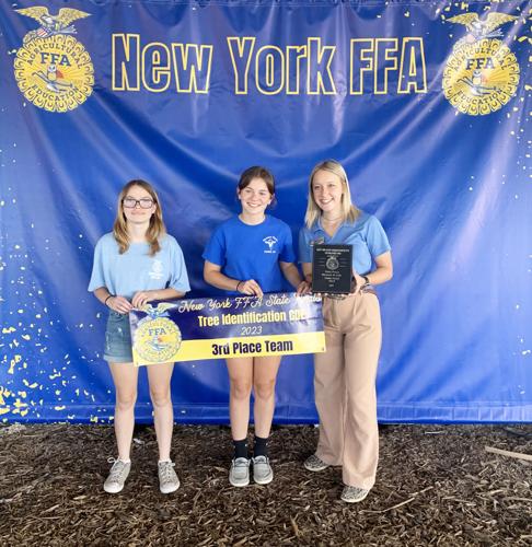South Lewis FFA had busy summer | Boonville Herald | romesentinel.com
