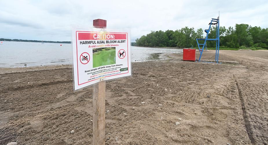 Algae blooms force temporary closure of Delta Lake swim area | Health ...