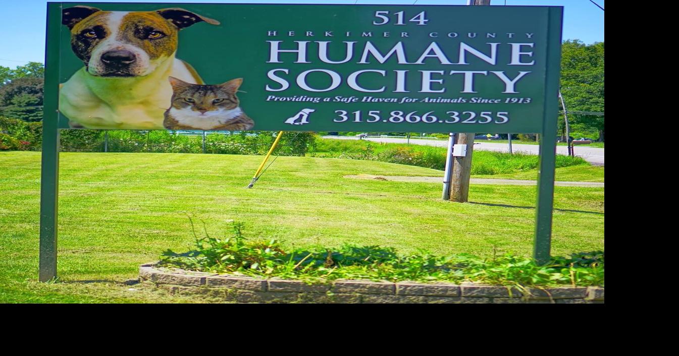 Speakers howl over dog control officer in Herkimer | News ...