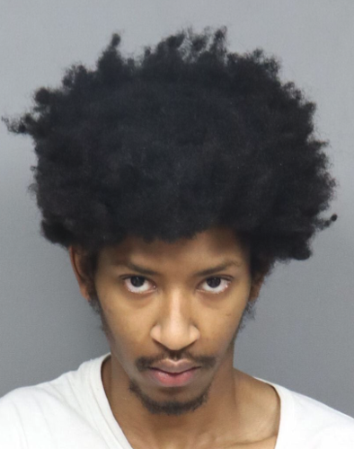 Three charged with gang assault in Utica | News | romesentinel.com