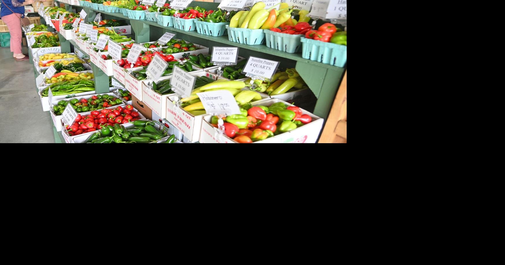 SNAPSHOT: Harvest at Swistak Farms | Multimedia | romesentinel.com