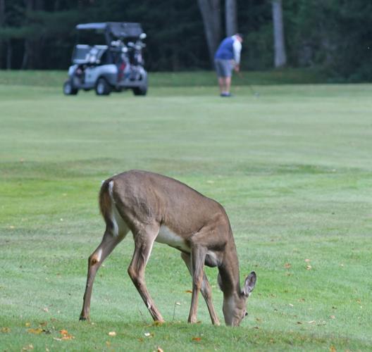 Thendara Golf Club: A fair challenge | Sports | romesentinel.com