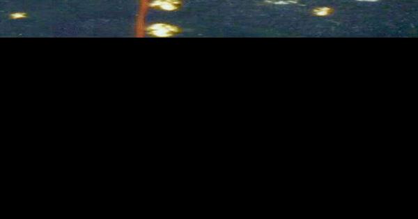 Ronald Allen Merchant | News | romesentinel.com