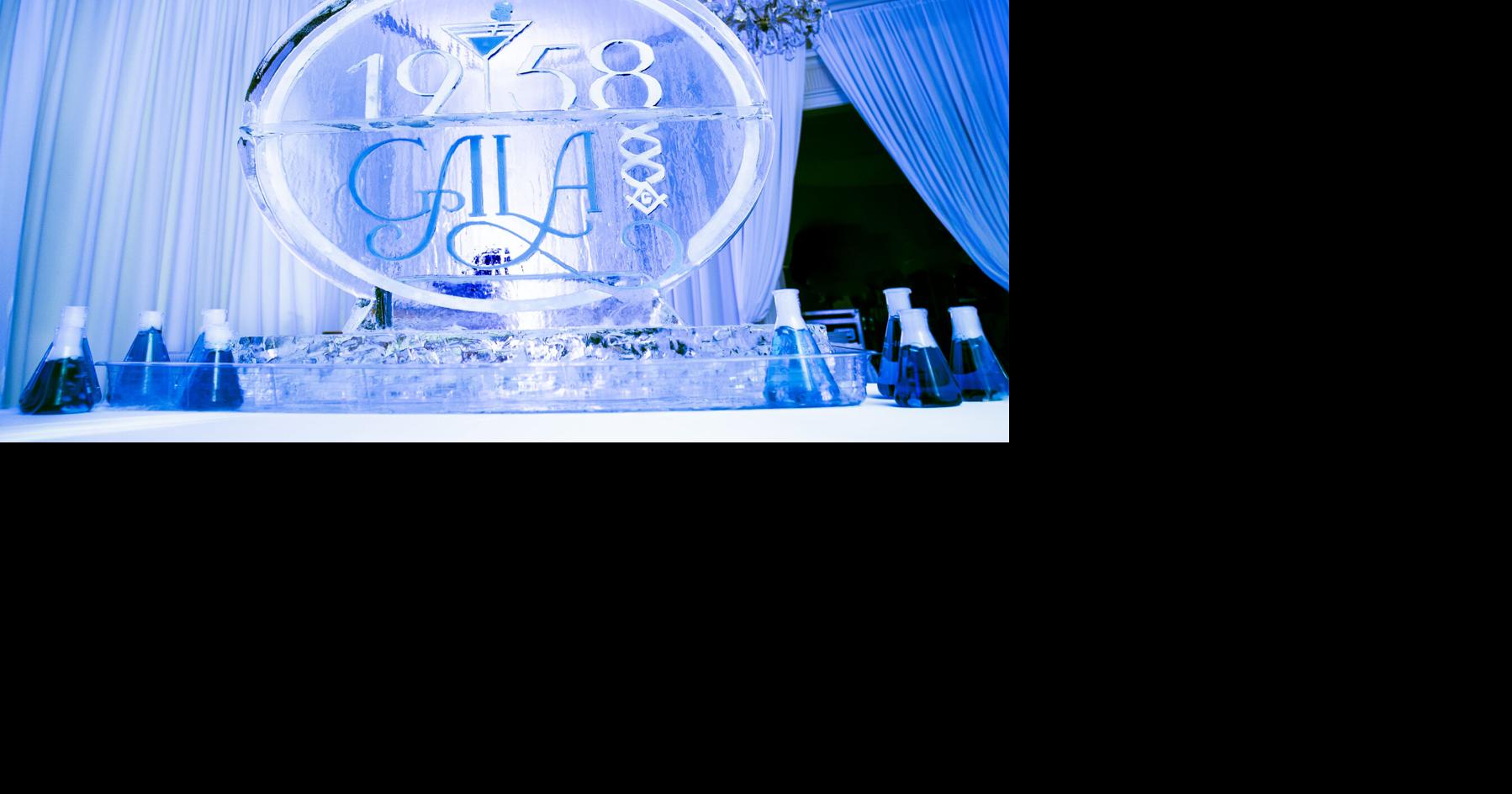 MMRI announces third annual 1958 Gala | News | romesentinel.com