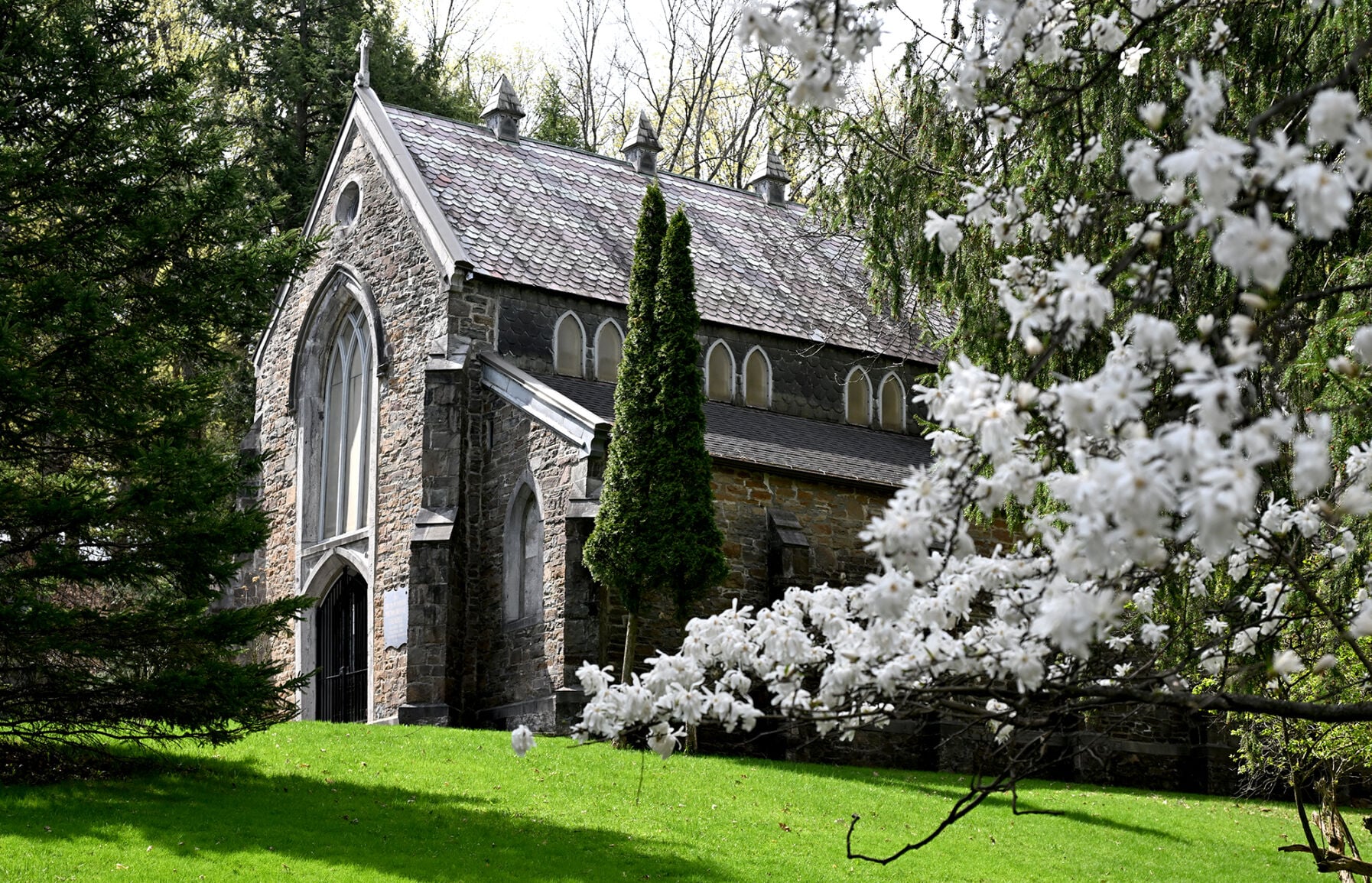 FOREST HILL CEMETERY: See pics of Utica's 'outdoor museum' during its ...