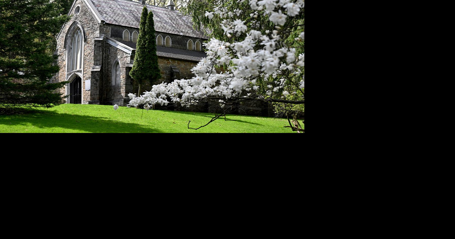 Forest Hill Cemetery’s arboretum initiative eyes future growth | News ...