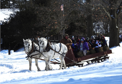 Rogers Center to roll out white carpet for 48th Annual Winter Living ...
