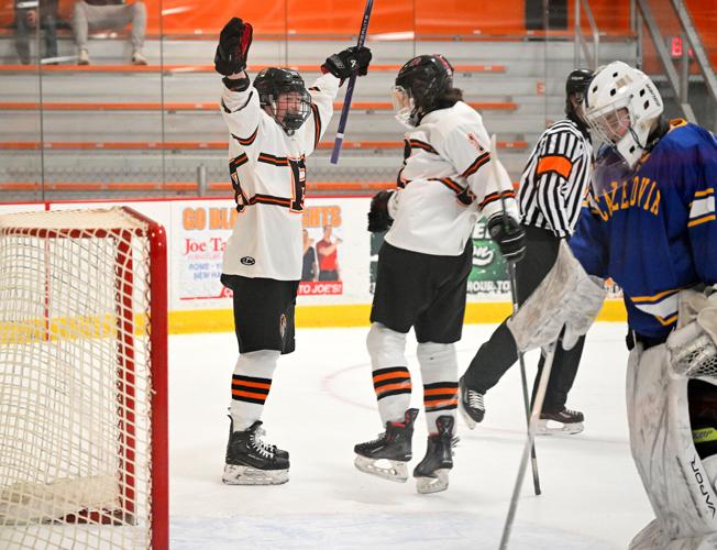 Rome Free Academy hockey drops final regular-season game; Black Knights ...