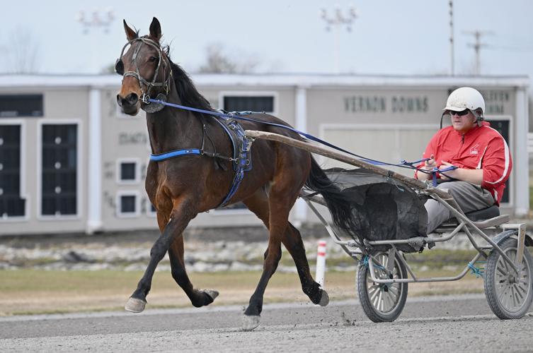 Vernon Downs begins 72nd season of harness racing Saturday | Sports ...