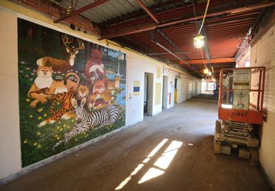 Little joy as project misses ‘milestone’ | Education | romesentinel.com